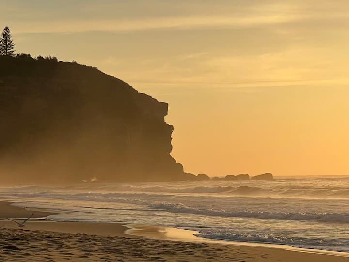 Big Hall-redhead, Swansea & Newcastle - Newcastle