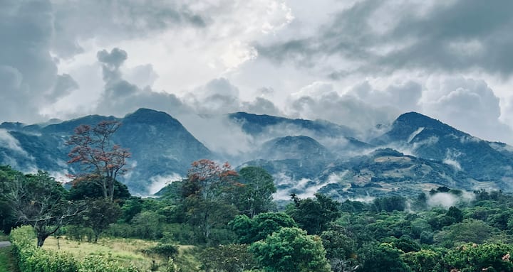 Damarli Estate Coffee Farm Stay | Deluxe Suite - Panama