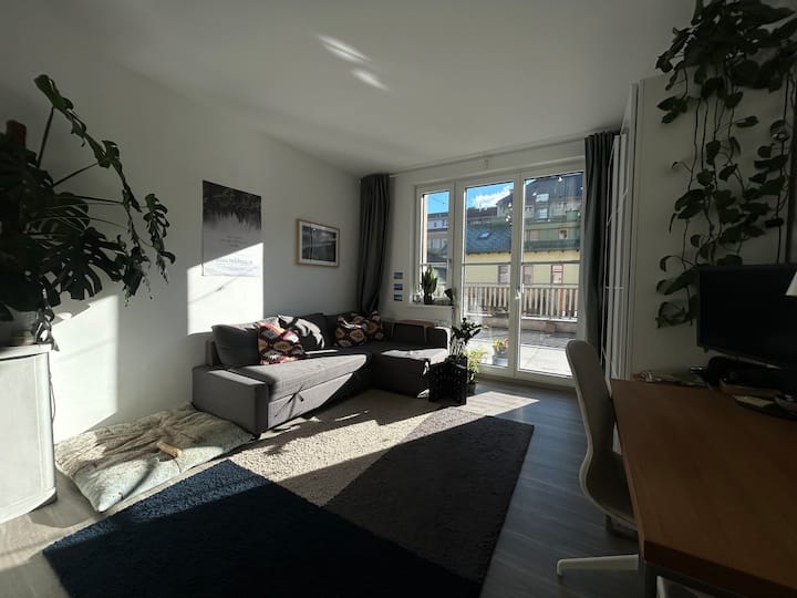Helle 2-zimmer-wohnung Nahe Zentrum & Rapoldipark - Innsbruck