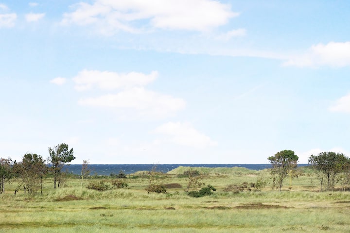 Tæt På Havet Og Byen. Havudsigt - Skagen