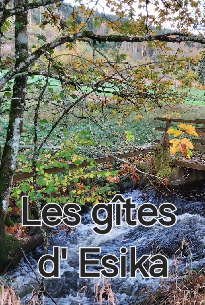 Appartement/gîtes Erable - Bussang