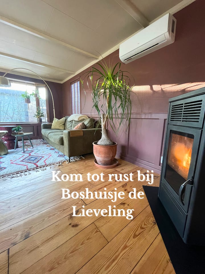 Uniek Huisje Aan De Bosrand - Netherlands