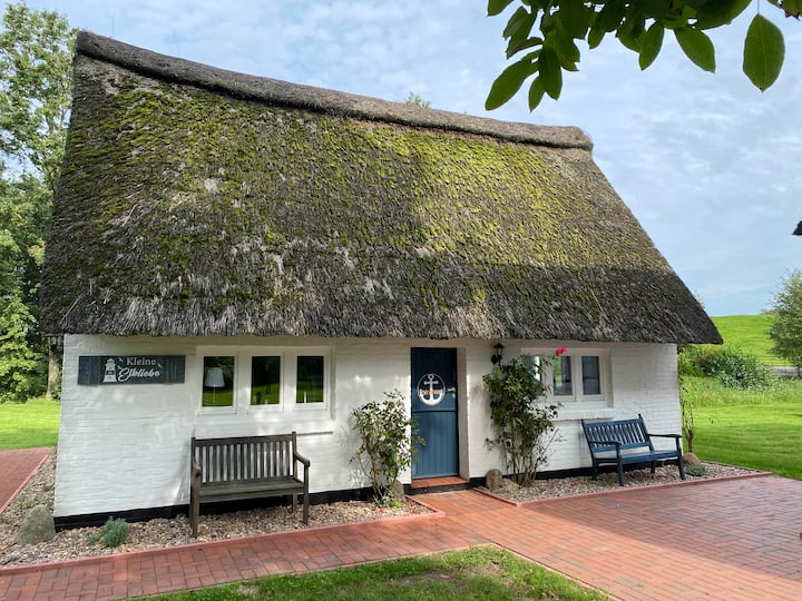 Kleine Elbliebe - Freiburg