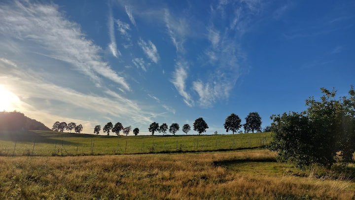 Gästehaus Bergwald - Rathen