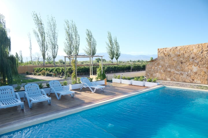 Vineyard Retreat With Infinity Pool - Argentina