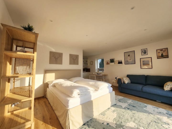 Bad Ischl Garden Apartment - Attersee