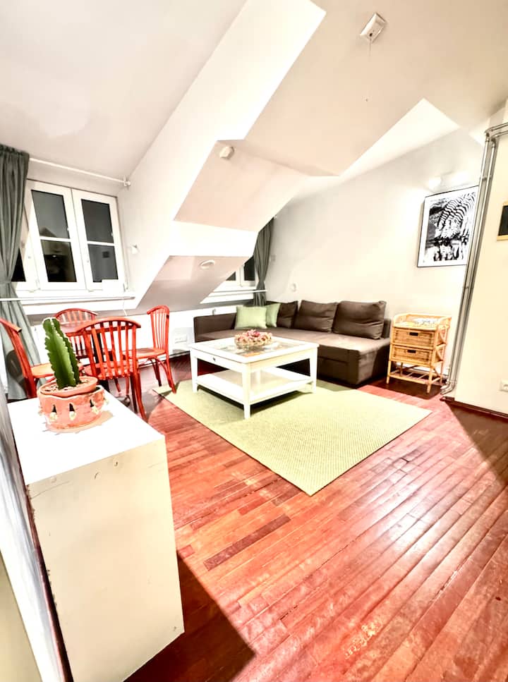 Old Town Attic I16 Self Check In - Vilnius