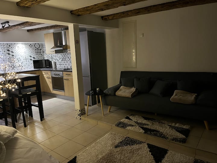 Studio D’exception Au Cœur D’obernai - Obernai