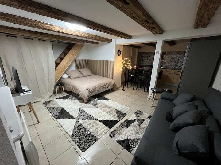 Studio D’exception Au Cœur D’obernai - Obernai