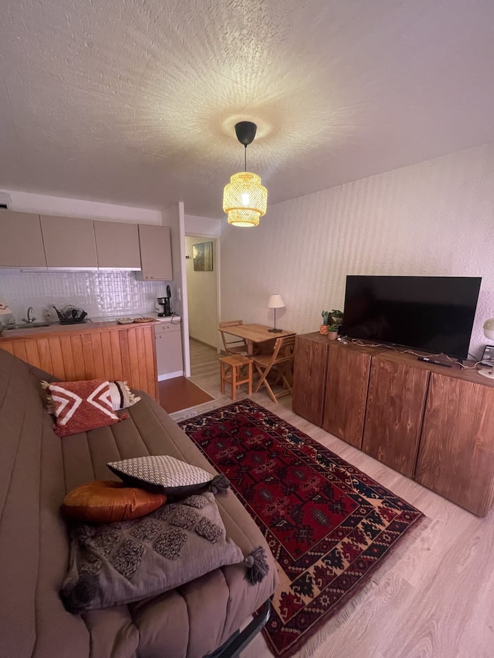 Studio Cosy à 5 Min Des Pistes, Vue Parc Privatif - La Salle-les-Alpes