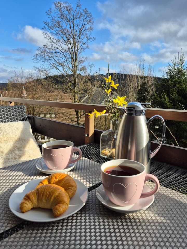 Fewo Herzstück 27 - Hahnenklee