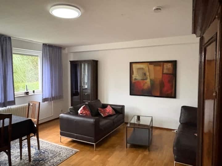 Wohnung In Offenburg-ost Zentral - Offenburg