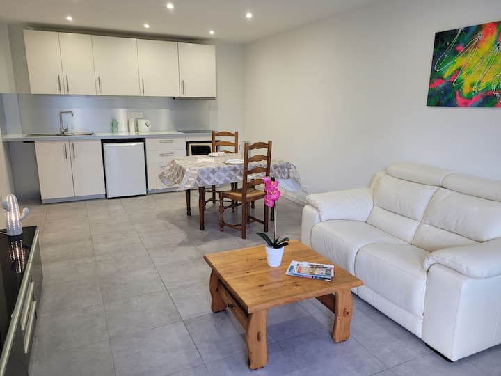 Appartement Calme T2 Dans Une Maison D'architecte - Bonneville