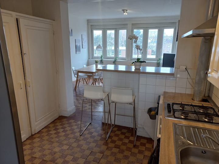 25 Bis T3 Cateau - Marcq-en-Barœul