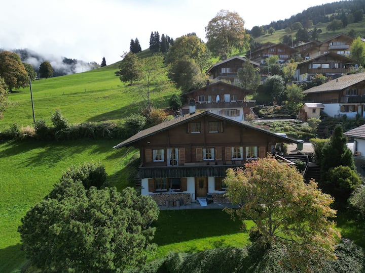 Sehr Gemütliche, Neu Renovierte Ferienwohnung - Kiental BE