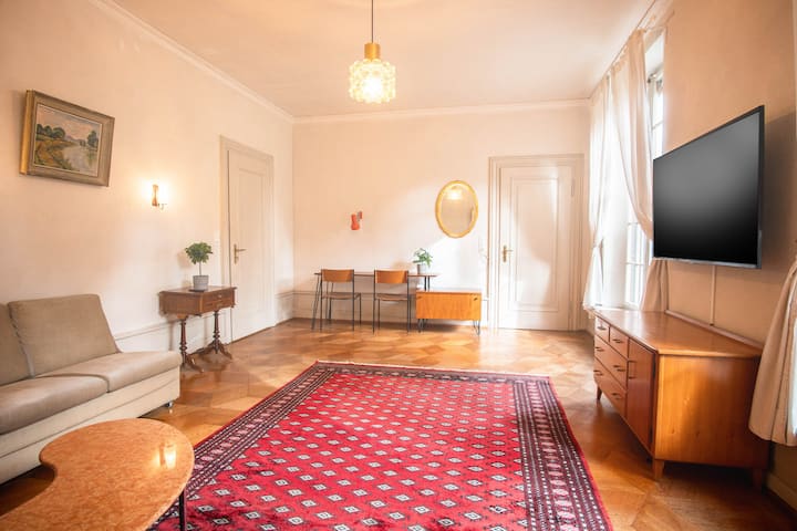 Villa In The Heart Of Basel With Free Baselcard - Bazylea