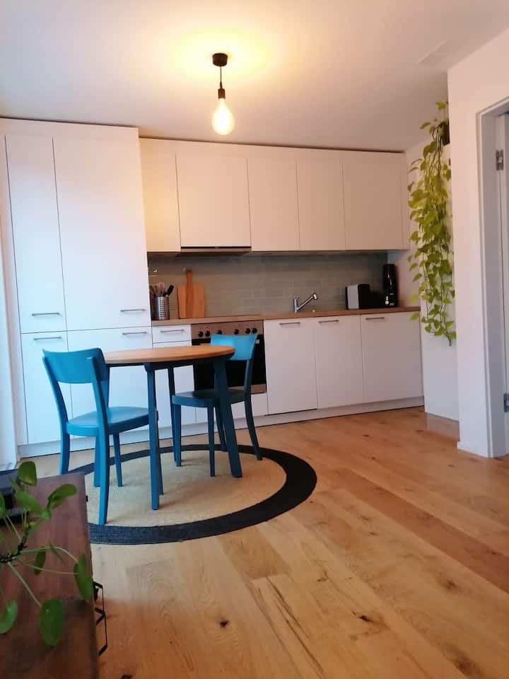 Charmant 2 Pièces Fraîchement Rénové Avec Terrasse - Neuenburg