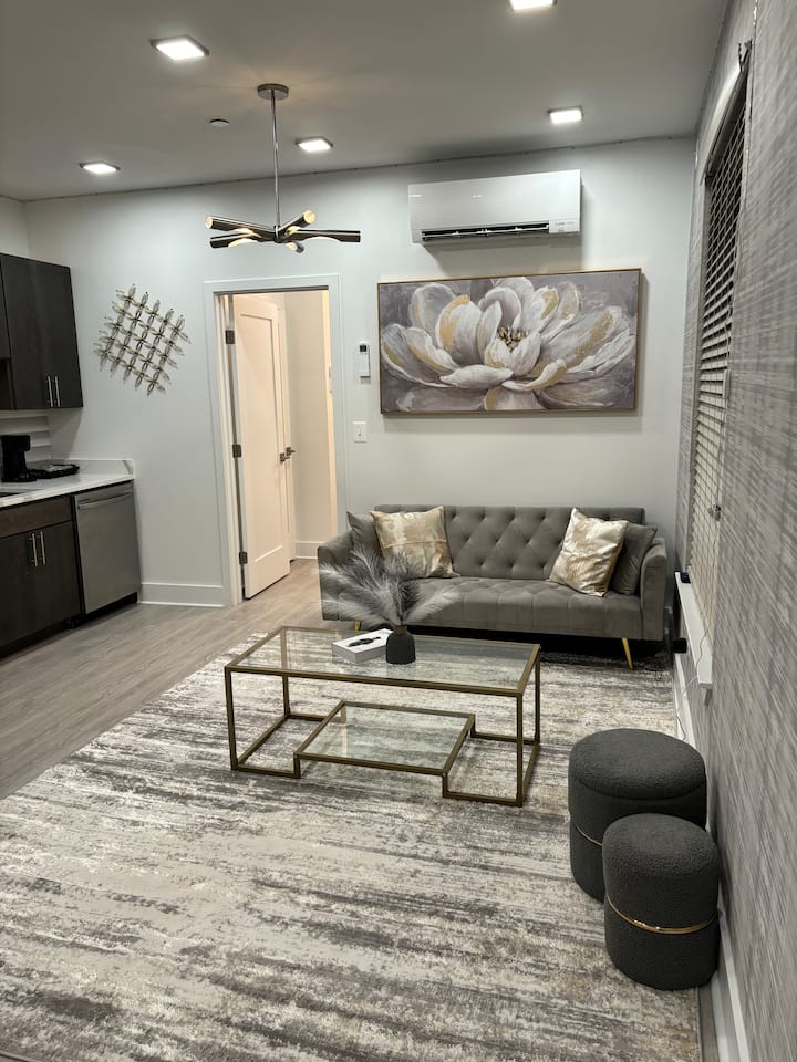 Luxury Apartment Downtown - Baltimore, MD