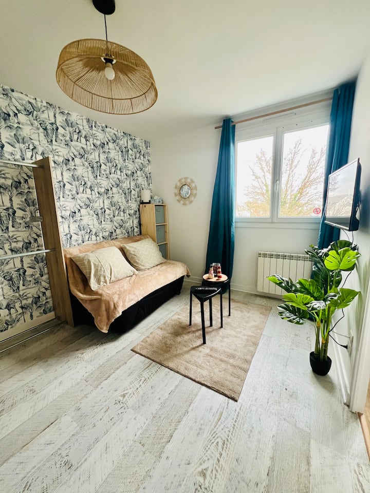 Studio - centre ville - Appartements à louer à Concarneau, Bretagne ...