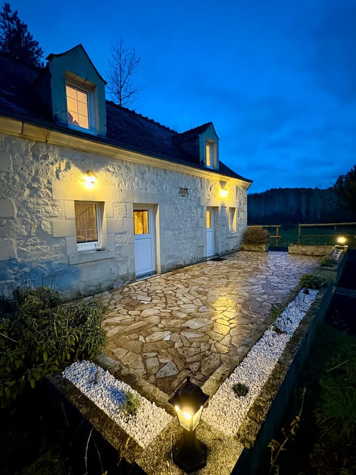 Maison 6 Personnes “La Bergerie Des Vignes” - Bourgueil