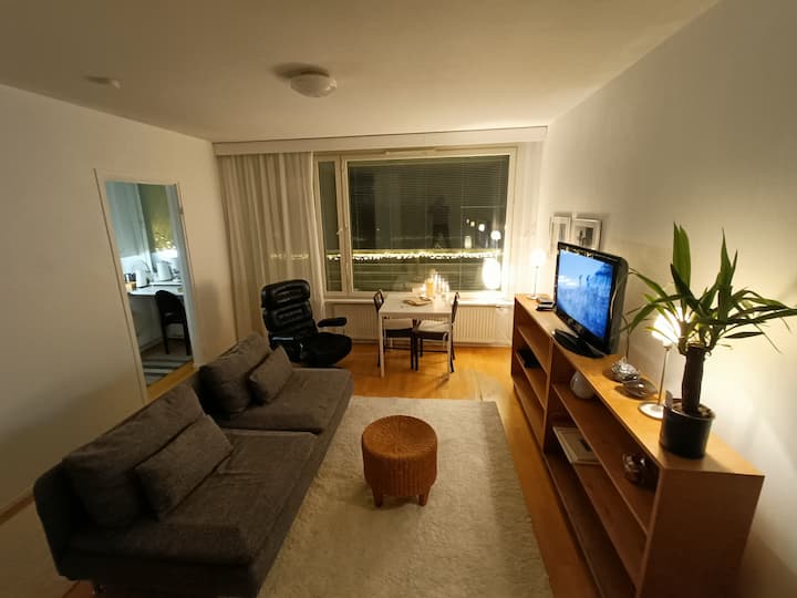 Viihtyisä Yksiö Lasitetulla Parvekkeella. - Ruokolahti