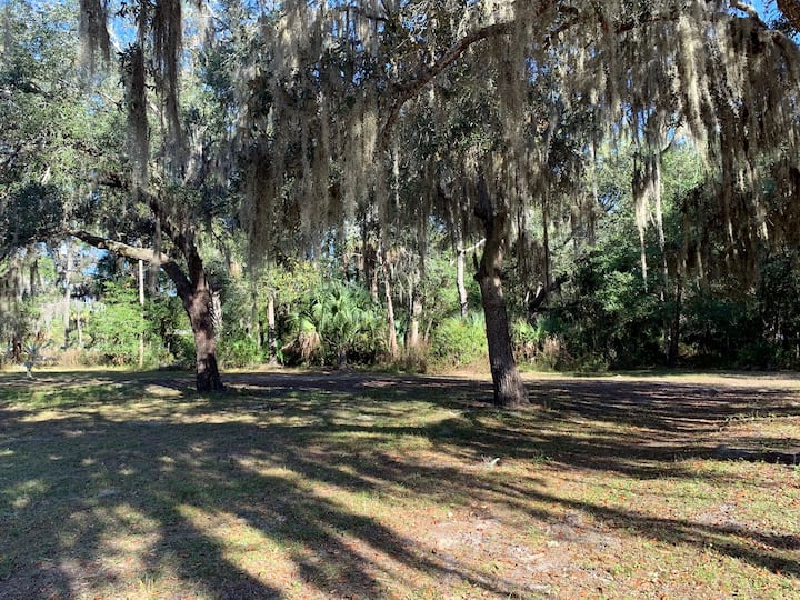 Camp Site In Homosassa - Homosassa, FL