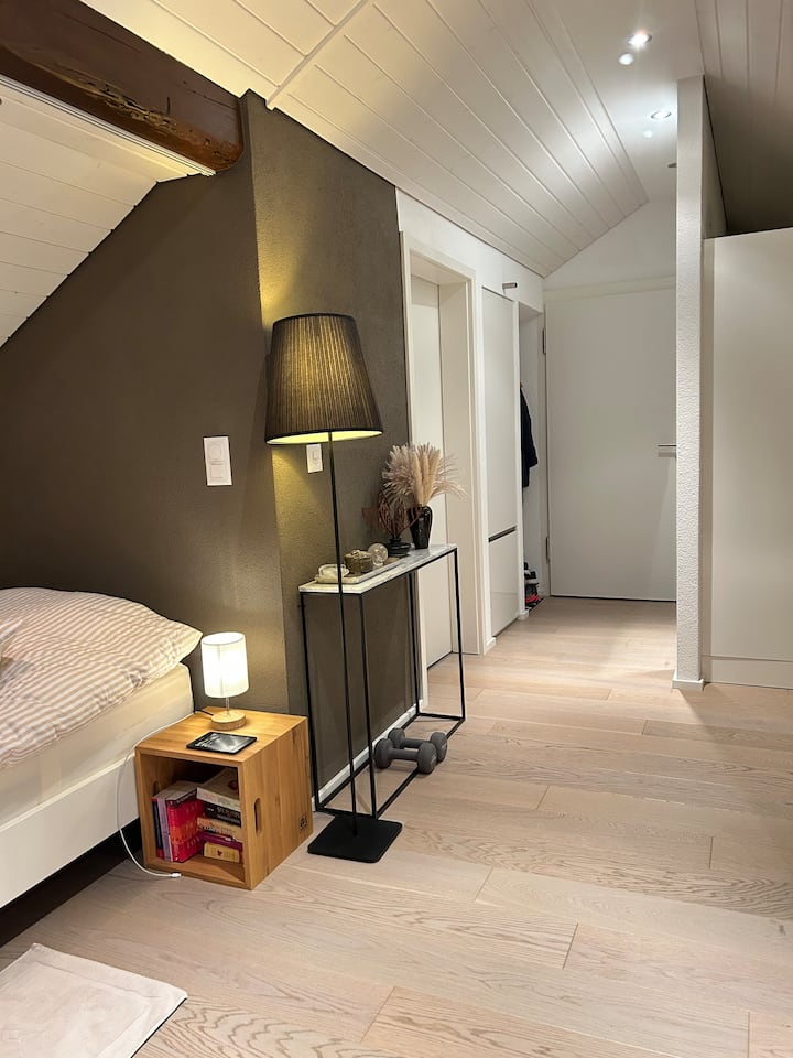 Cozy, Modern 1-bedroom Appartment - Schaffhausen