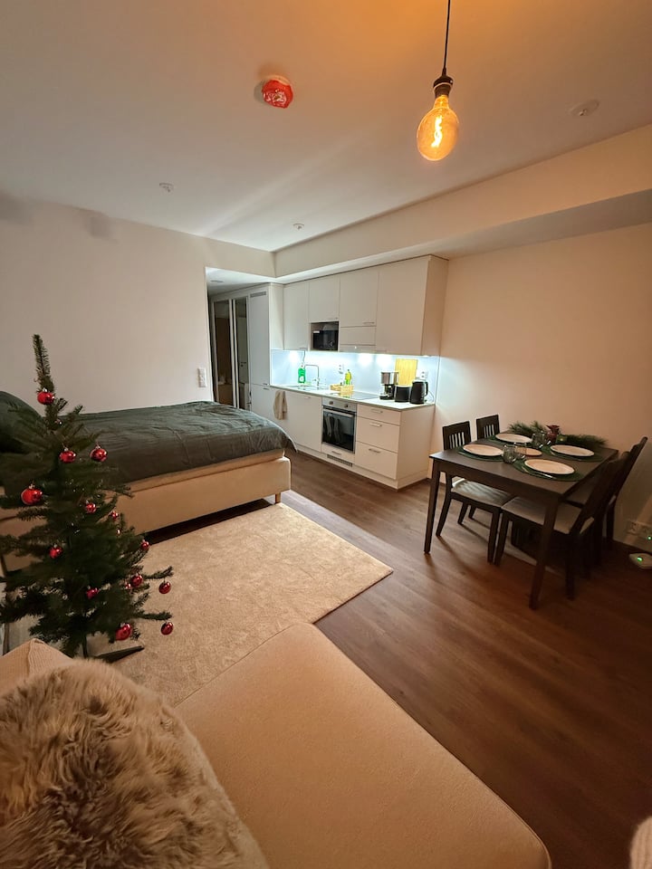 Northern Night Studio - Rovaniemi