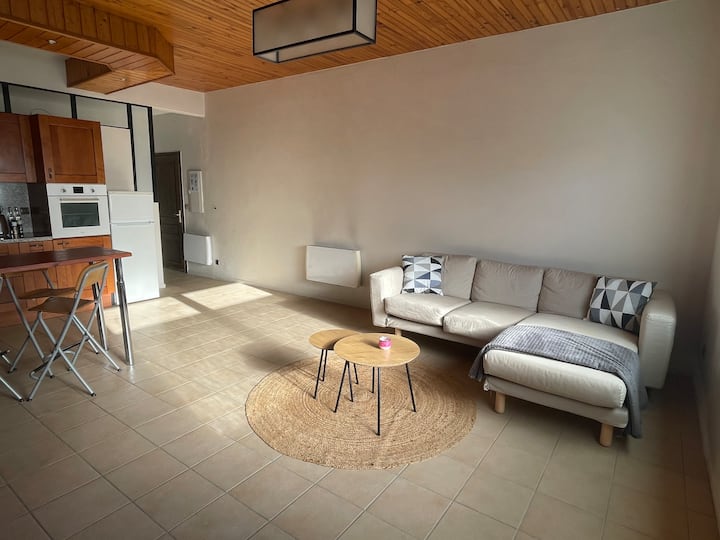 Appartement T3 Neuvecelle - Lake Geneva