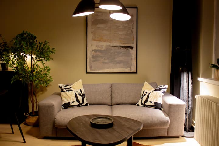 Top-floor Penthouse In Central Oslo - Oslo
