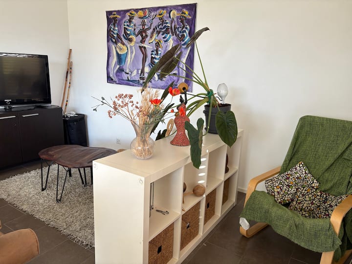 Bel Appartement Lumineux - Geneva