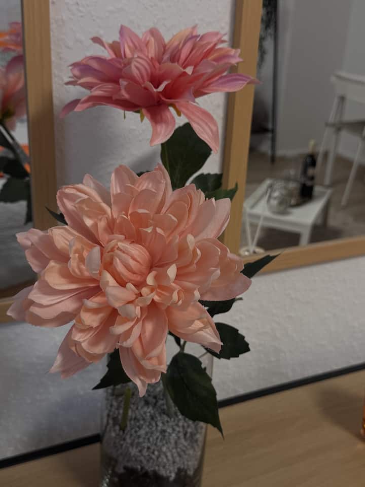 Bright & Cozy Apartment In Düsseldorf | Warmstay - Düsseldorf