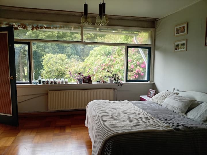 Habitación Con Baño Privado - Puerto Montt