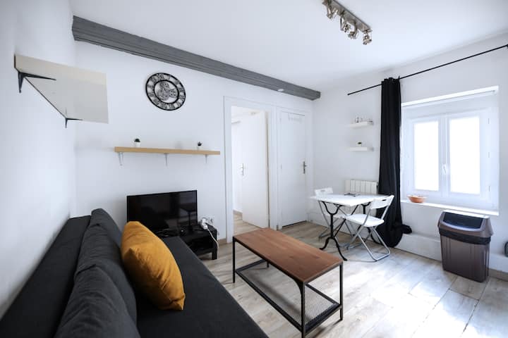 T2 Rénové Confluence Calme, Moderne Et Central - Oullins