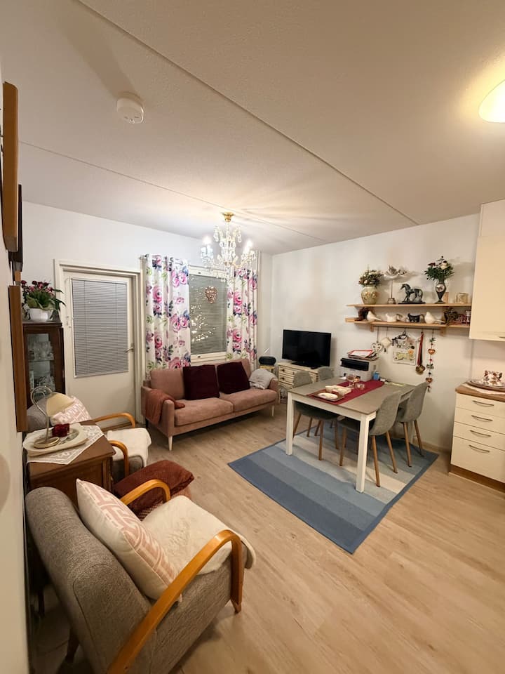 Cozy 1br Appartment In Tornio - Tornio