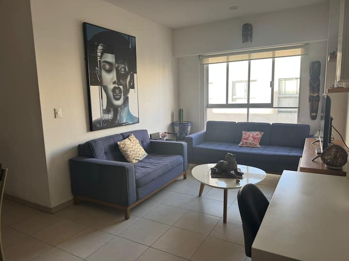 Departamento Cerca De Polanco Y Hospital De Pemex - Mexico City