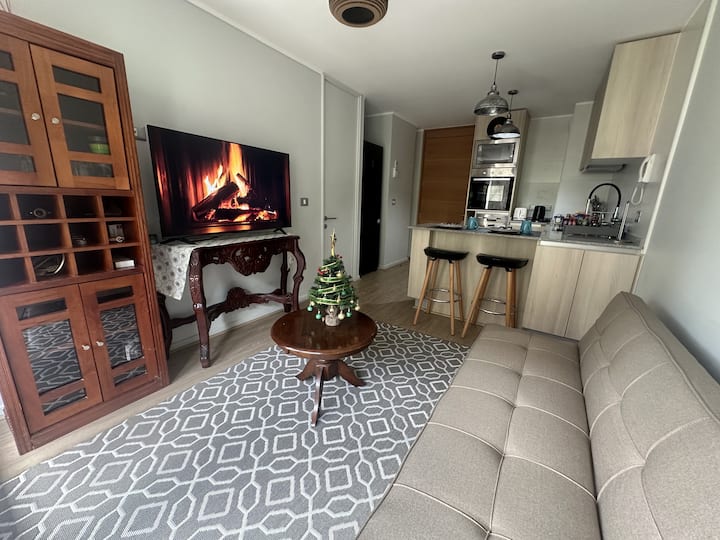 Moderno Depto En Costanera, Cómodo Y Equipado - Valdivia