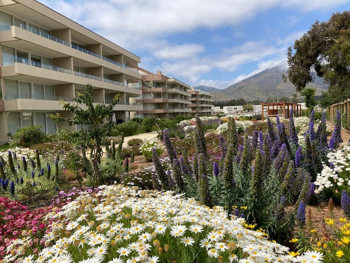 Punta Puyai
2da Linea Playa - Papudo