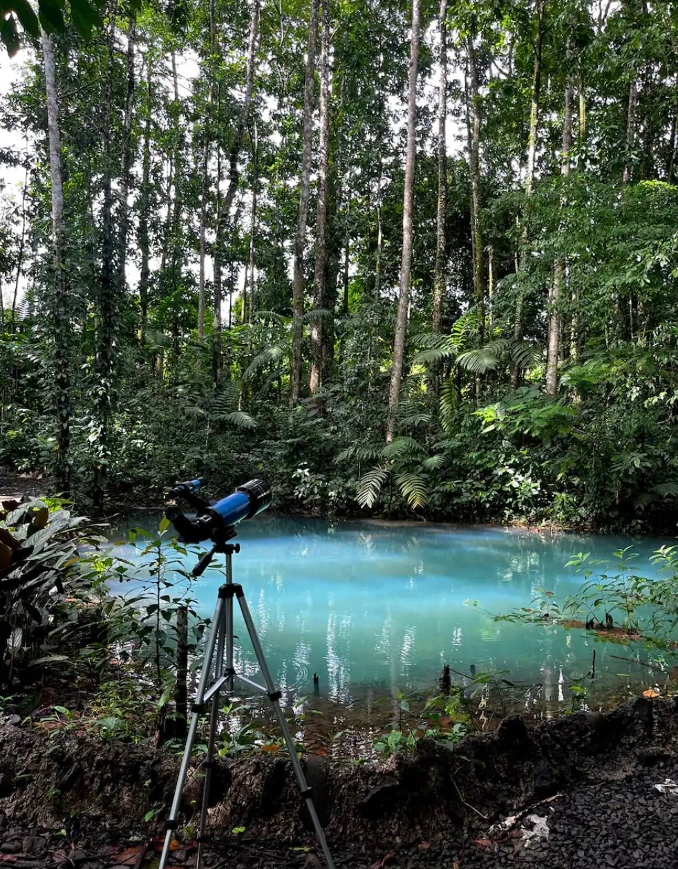 Tucán House in Valle Azul in der Nähe von La Fortuna - Häuser zur Miete ...