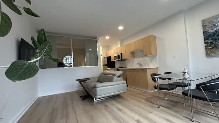 9.5/10 Walk Score. Brandnew Reno. Downtown - Vancouver