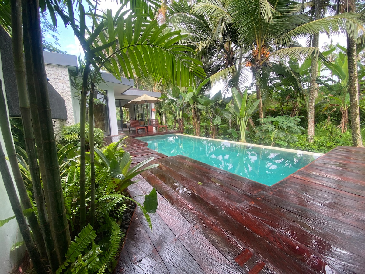 2-bedroom villa-Ubud-pool-Jungle river & rice field - Villas for Rent ...