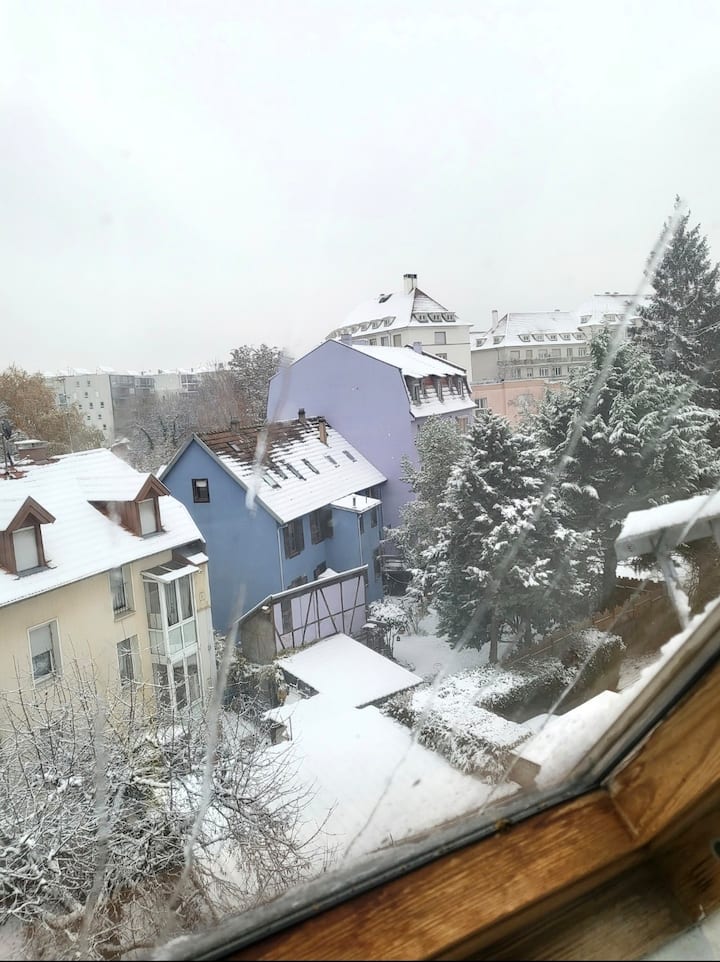 Appartement 5 Min Du Centre - Strasburgo