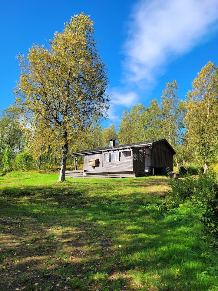 Lundlihytta Med Utsikt Til Polar Park - Norway
