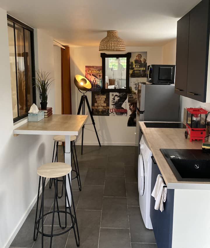 Cinéma à La Roche (Netflix) - La Roche-sur-Yon