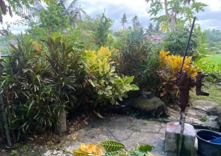 Bungalow House In Rice Field W/ Sunrise View - Sibonga