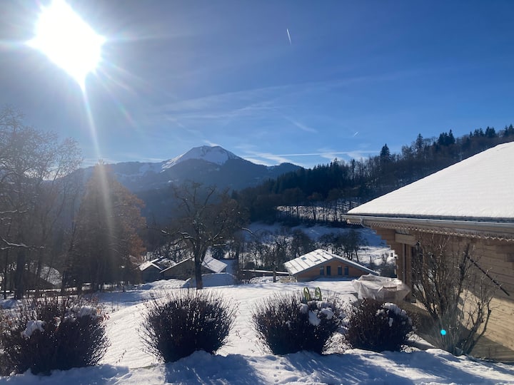 Charmant Chalet à 10 Min De Praz De Lys Sommand - Lac de Vallon