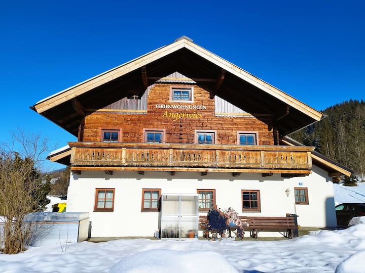 Haus Angerwies
Gemütliche Ferienwohnungen - Obertauern