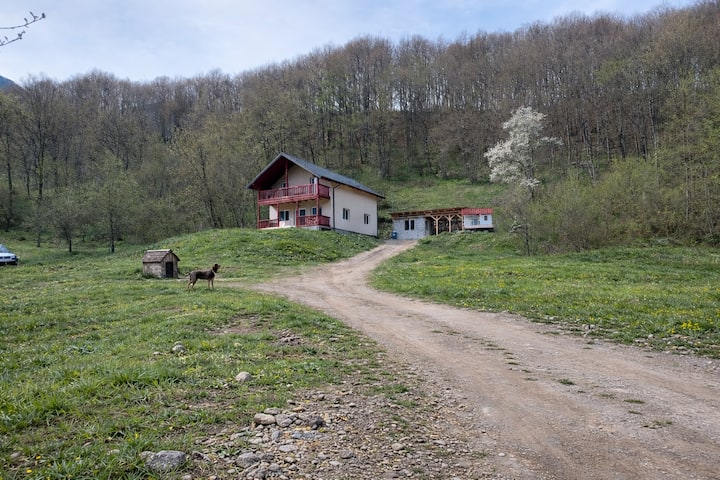 Liziera Cabin Malaia - Mălaia