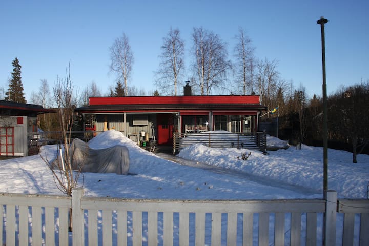 Stuga På Ö Med Skön Natura 2000 Omgivning - Umeå
