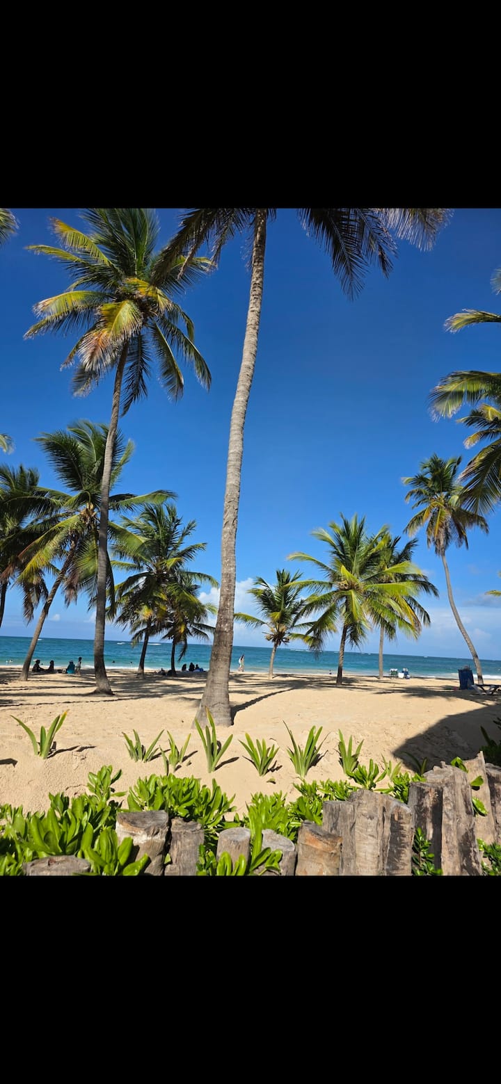 Apartamento Relajante Con Piscina Y Playa Privada - Punta Cana